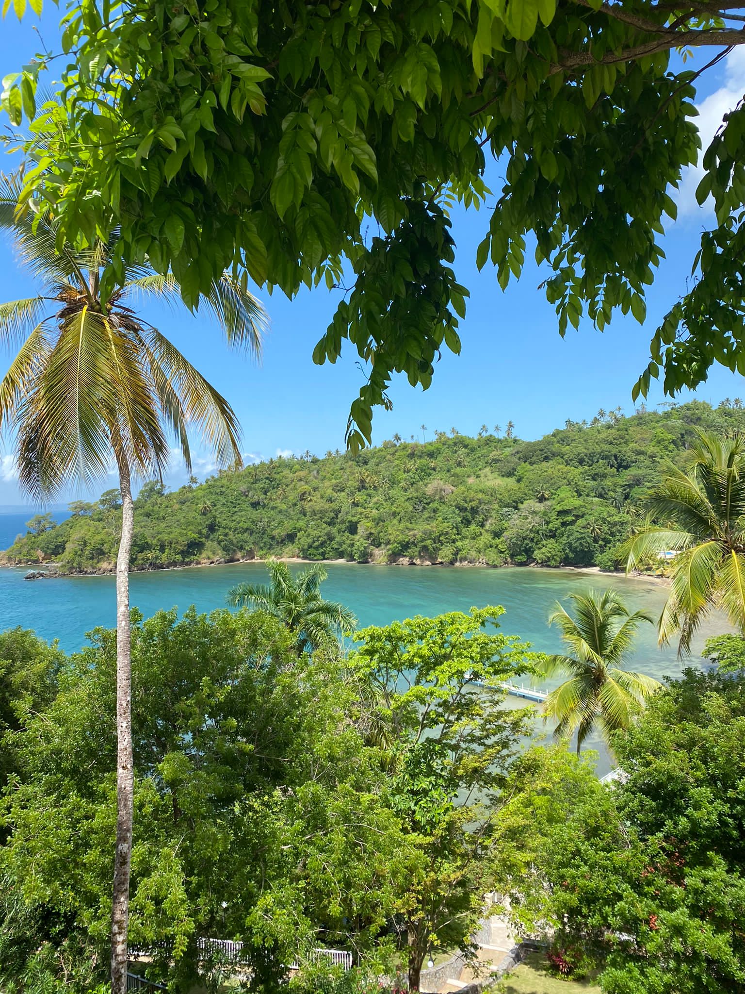 Viaja a Samaná y descubre el Caribe